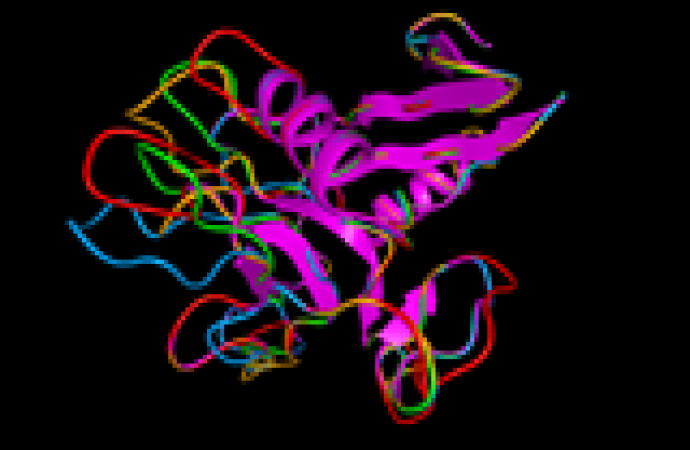 Biotech materials made simple – crystal structures altered by a single ...
