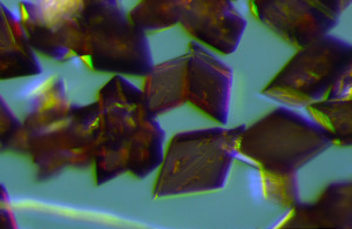 Hochleistungsmaterial Polyimid – erstmals eckig | WOTech Technical ...