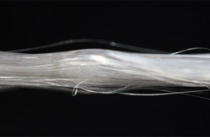 Künstliche Spinnenseidenfasern mit naturidentischen mechanischen ...