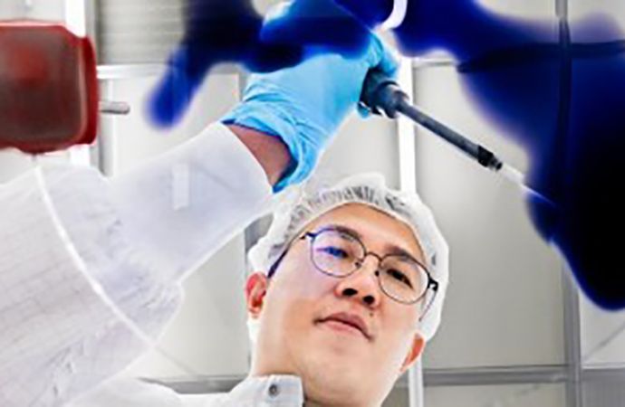 Nachhaltigere Erzeugung organischer Chips | WOTech Technical Media ...