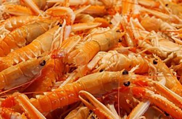 Neue Klebetechnik für Biomedizin entwickelt | WOTech Technical Media ...